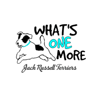 What’s New – What's One More